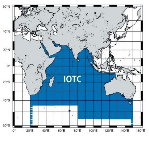 「インド洋まぐろ類委員会（IOTC）第22回 年次会合」の結果について | テック・アイ技術情報研究所