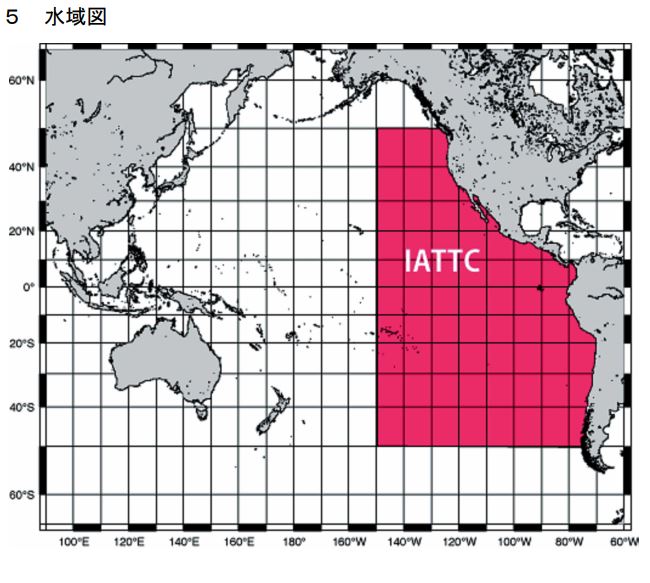 「全米熱帯まぐろ類委員会（IATTC）第93回会合（年次会合）」の結果について | テック・アイ技術情報研究所